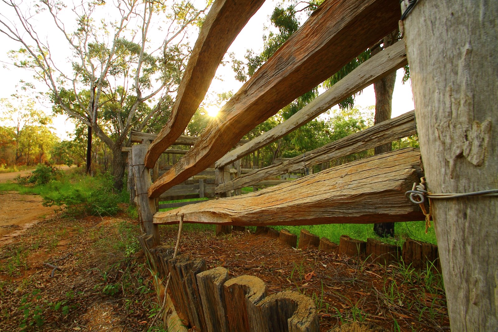 2022 Mt Larcom Photography Competition | Virtual Community ...