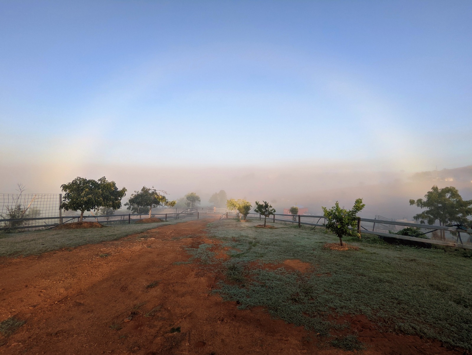 2022 Mt Larcom Photography Competition | Virtual Neighbourhood Centre ...