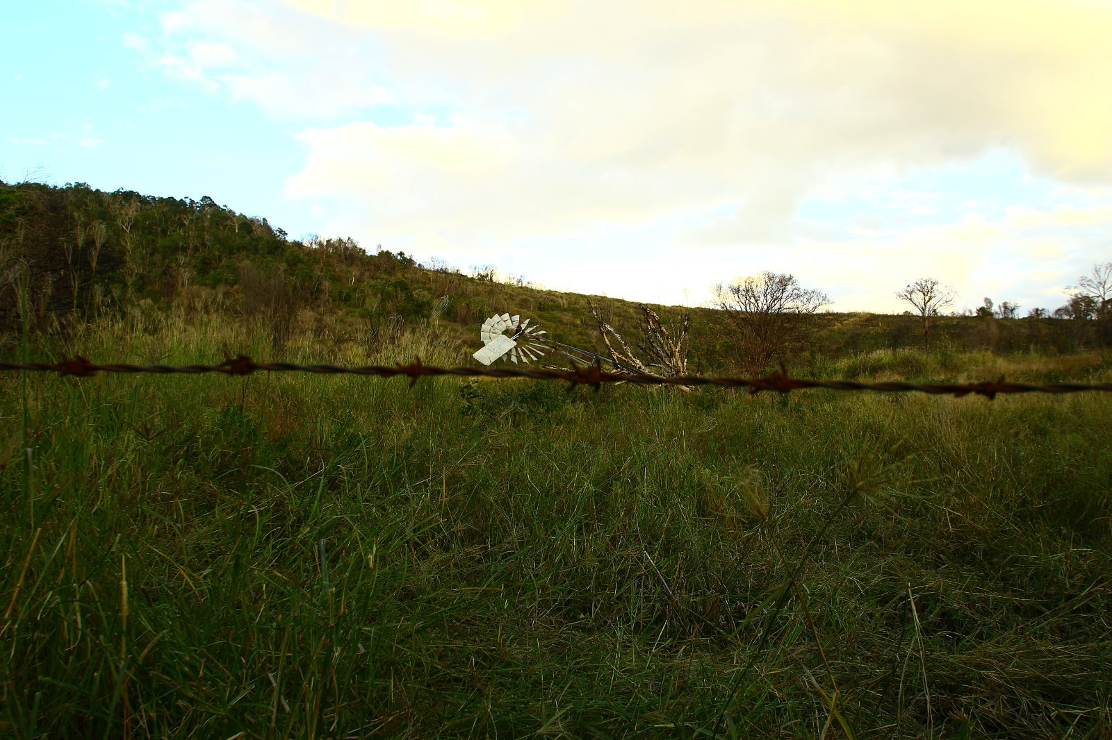 2022 Mt Larcom Photography Competition | Virtual Neighbourhood Centre ...