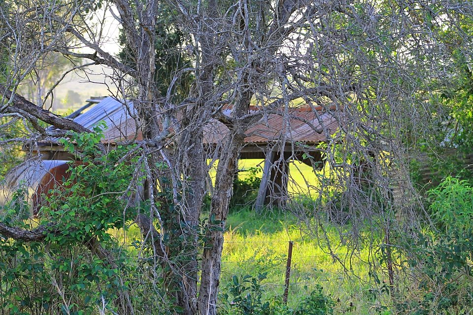 2022 Mt Larcom Photography Competition | Virtual Community ...